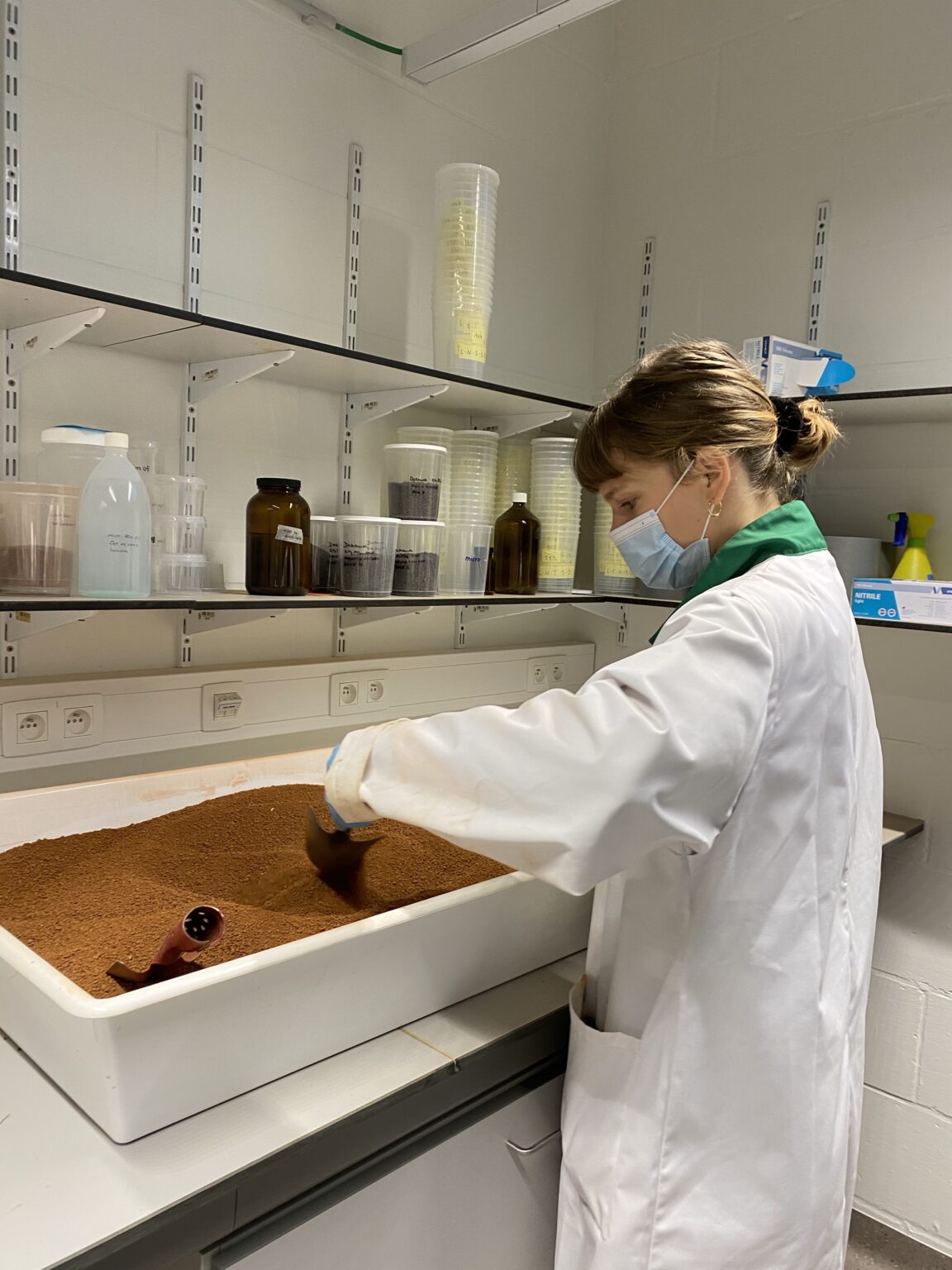 h2020-P-TRAP | How pot-experiments with rice help feeling home!